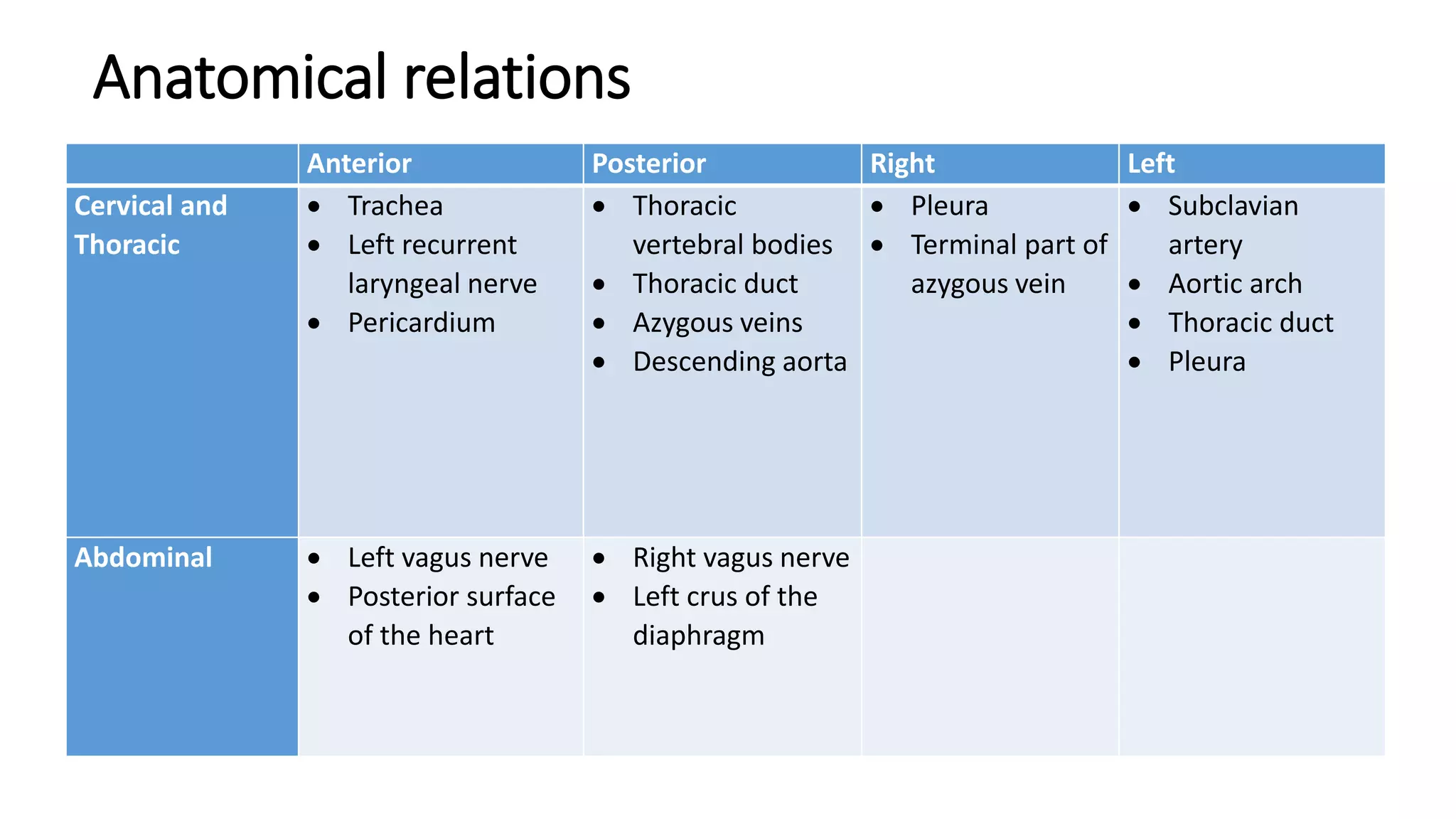 Anatomy of Esophagus.pptx