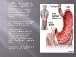 Anatomy of esophgus | PPTX