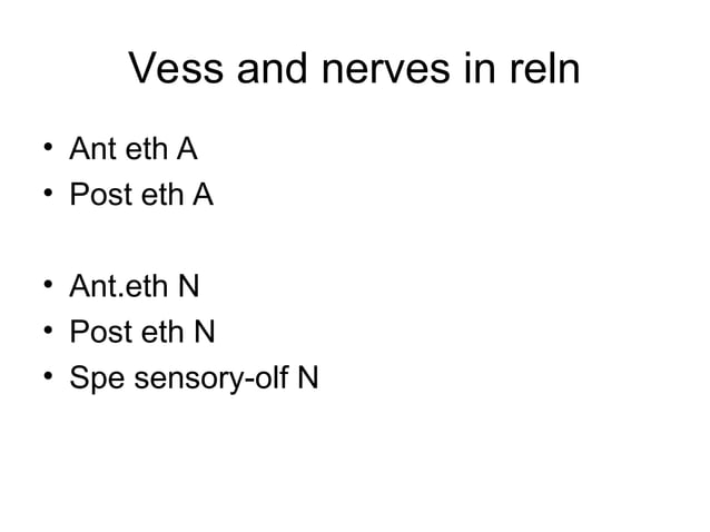 Anatomy Of Ethmoid Bone And Ethmoid Sinus Ppt