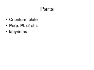 Anatomy of ethmoid bone and ethmoid sinus | PPT