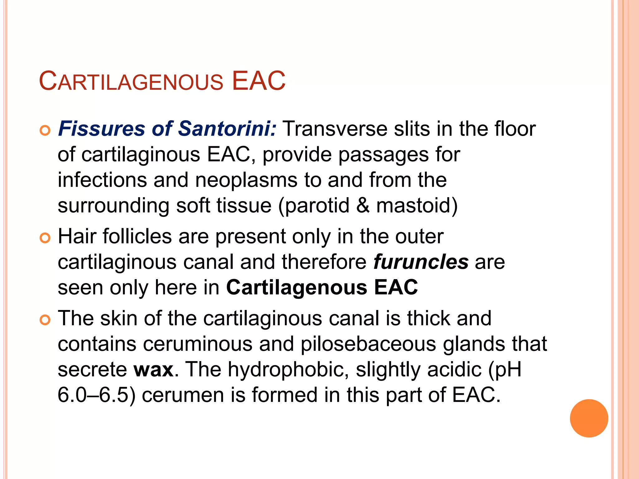 Anatomy of External Ear and Middle Ear | PPTX