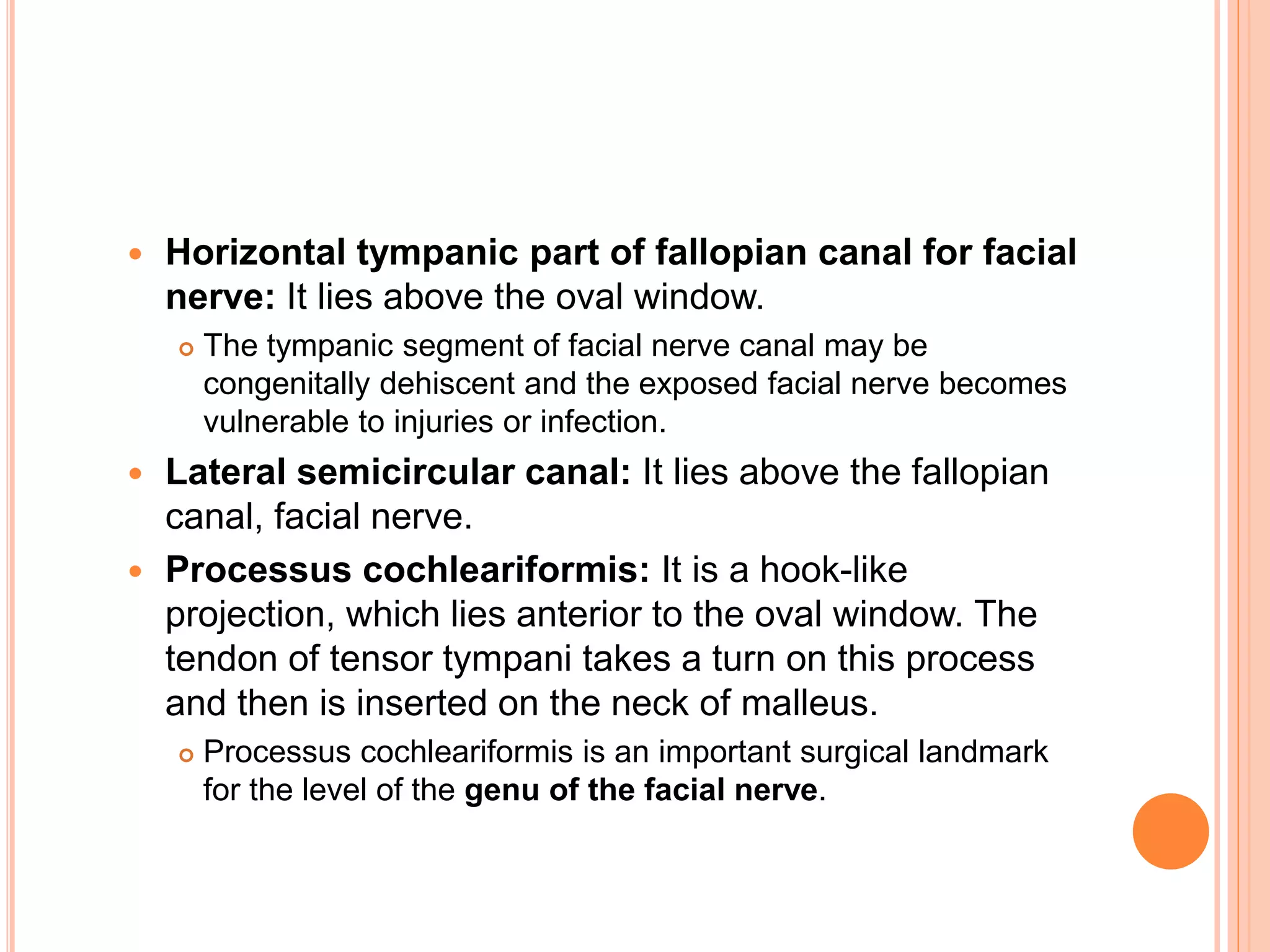 Anatomy of External Ear and Middle Ear | PPTX