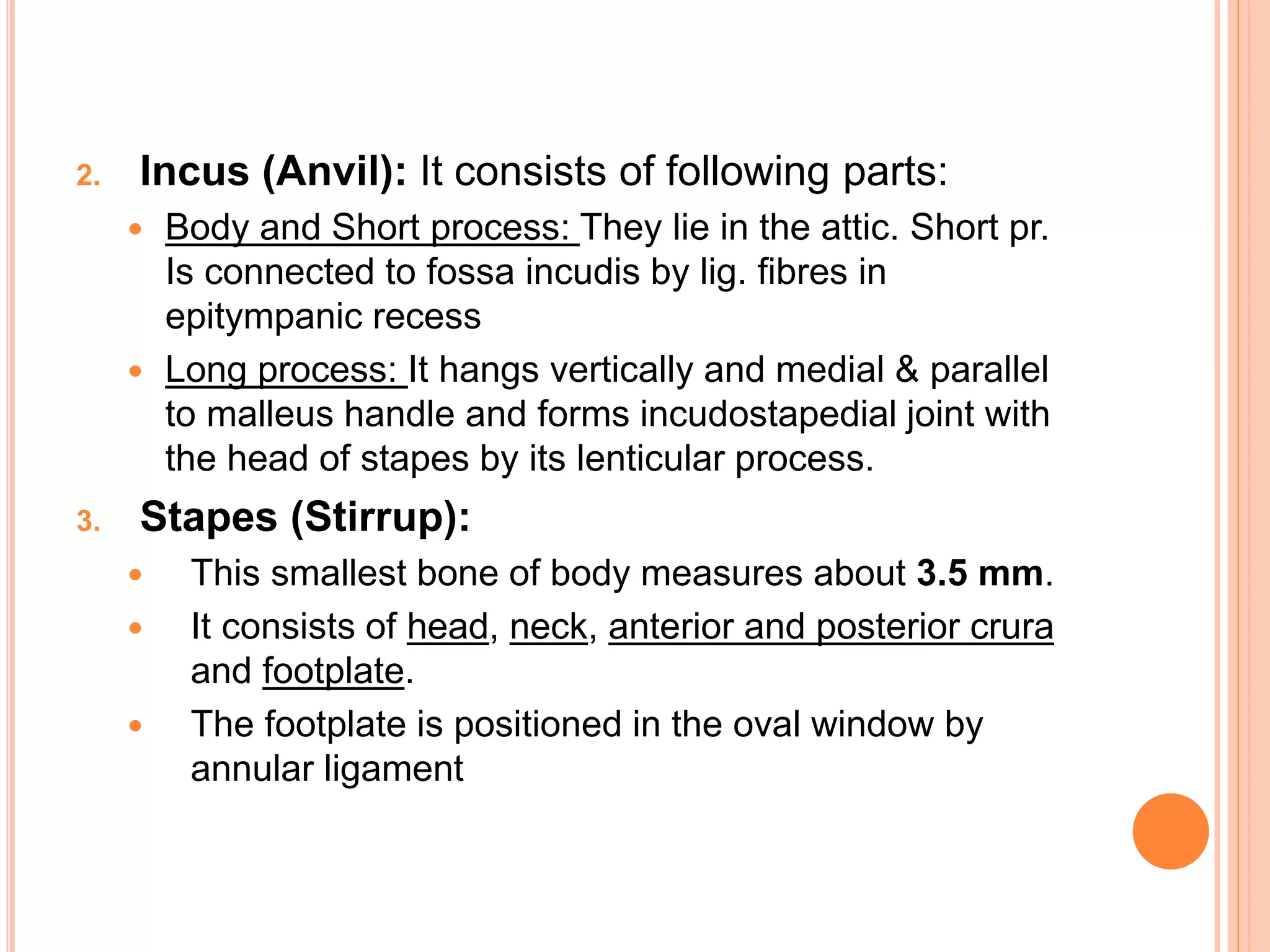 Anatomy of External Ear and Middle Ear | PPTX