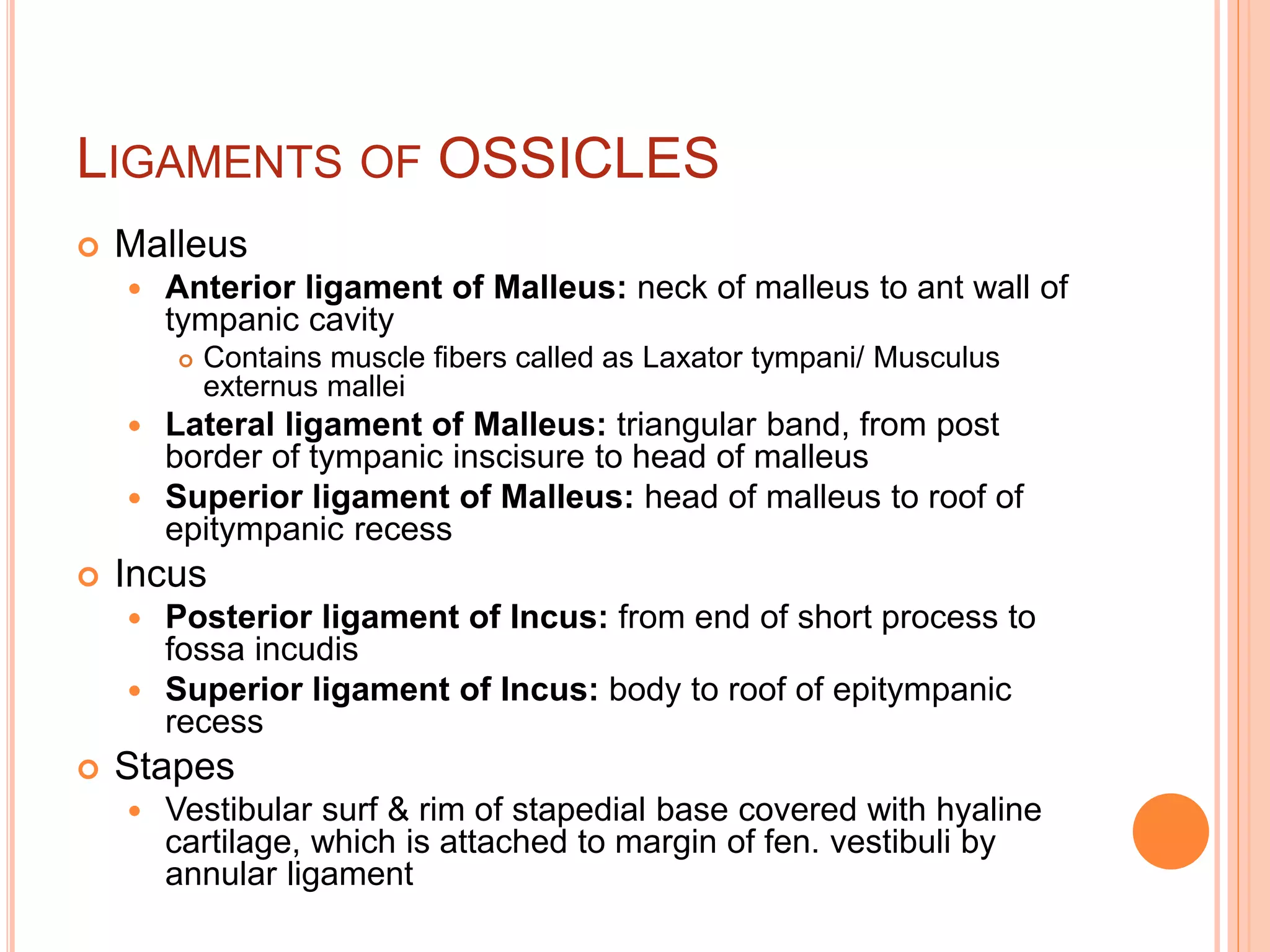 Anatomy of External Ear and Middle Ear | PPTX