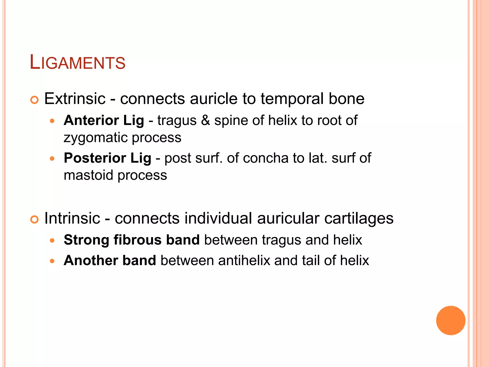 Anatomy of External Ear and Middle Ear | PPTX