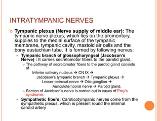 Anatomy of External Ear and Middle Ear | PPTX