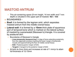 Anatomy of External Ear and Middle Ear | PPTX