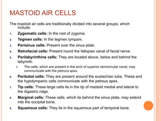 Anatomy of External Ear and Middle Ear | PPTX