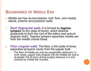 Middle Ear Boundaries
