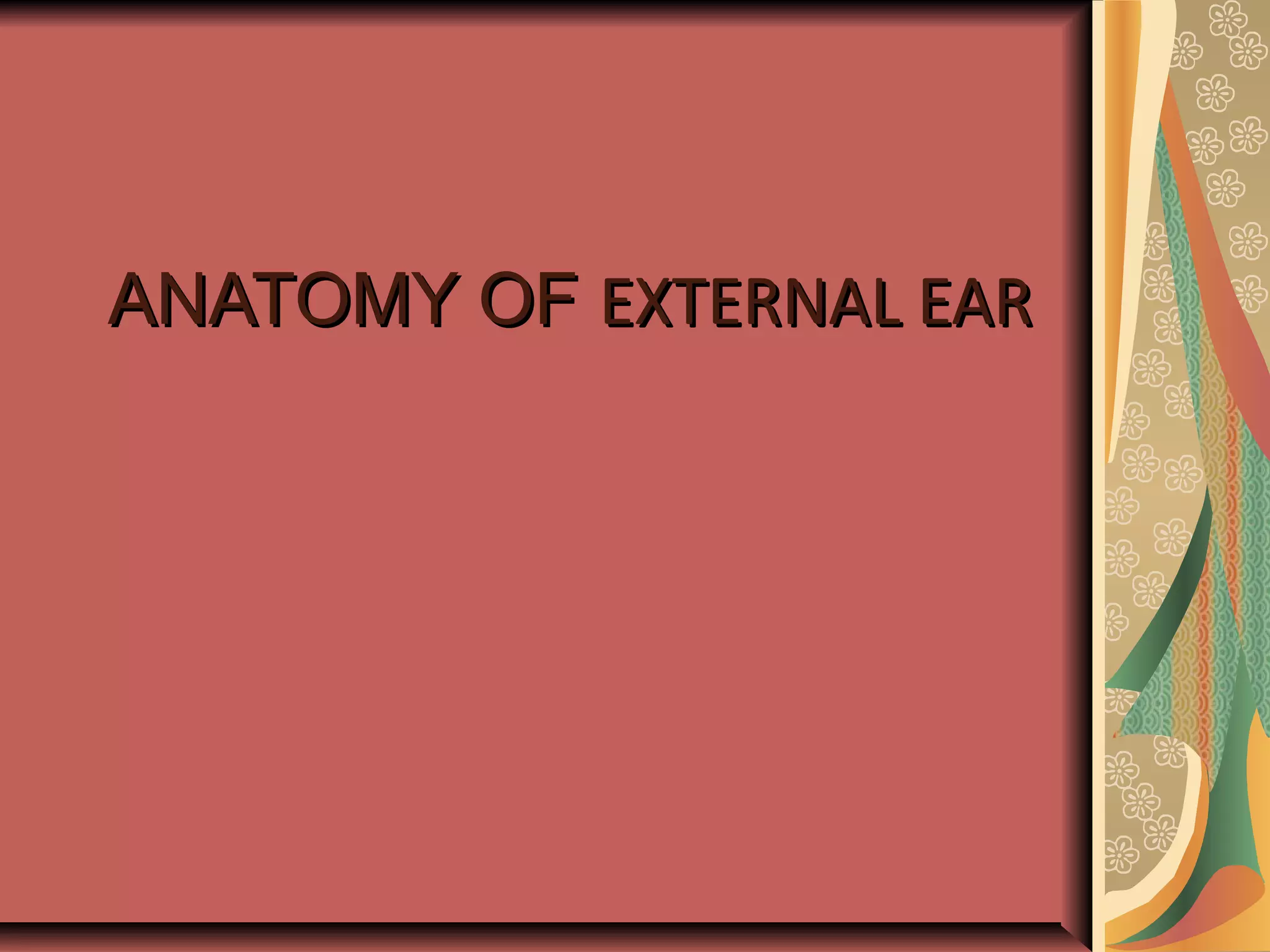 Anatomy of external ear | PPT