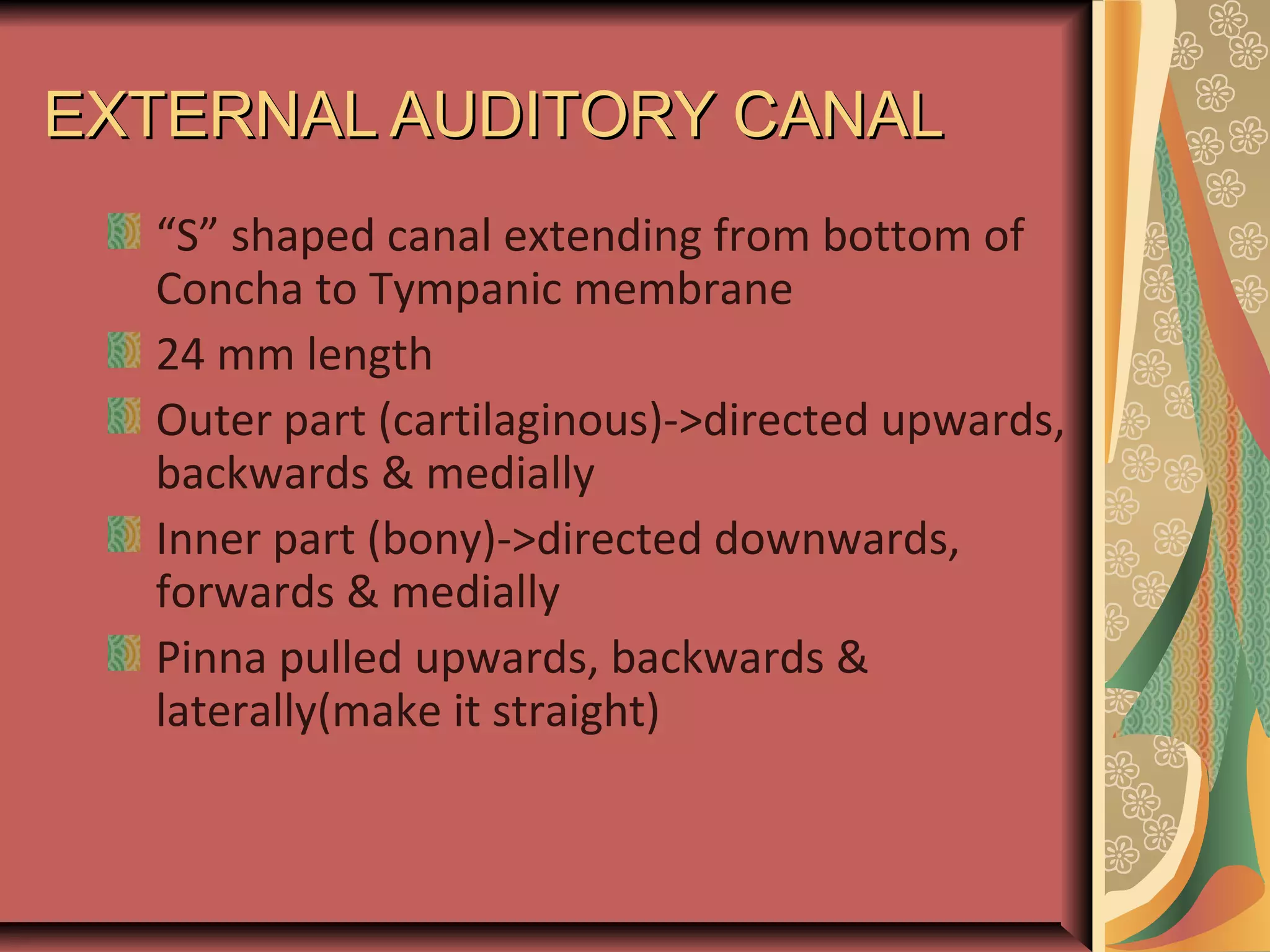 Anatomy of external ear | PPT