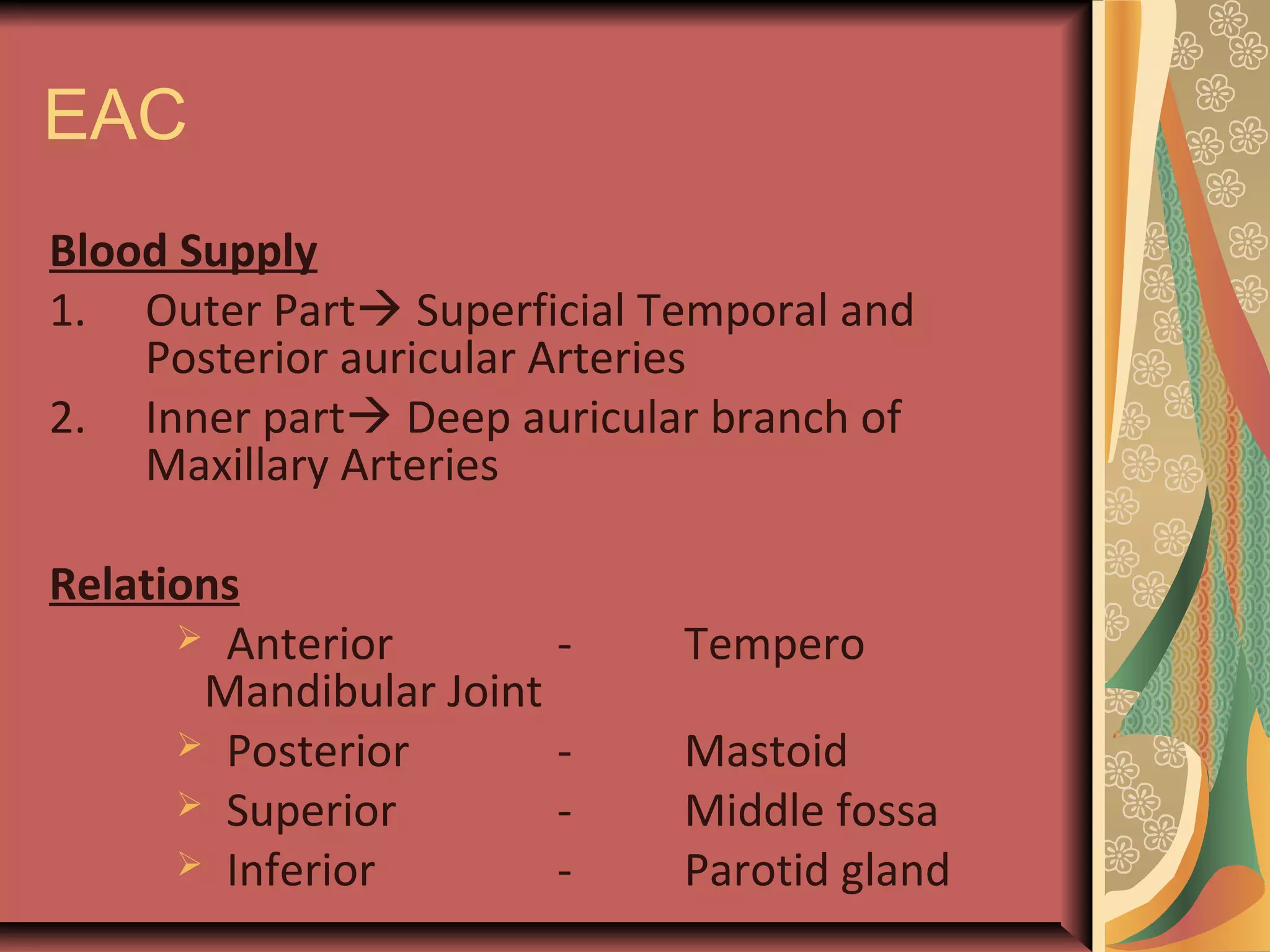 Anatomy of external ear | PPT