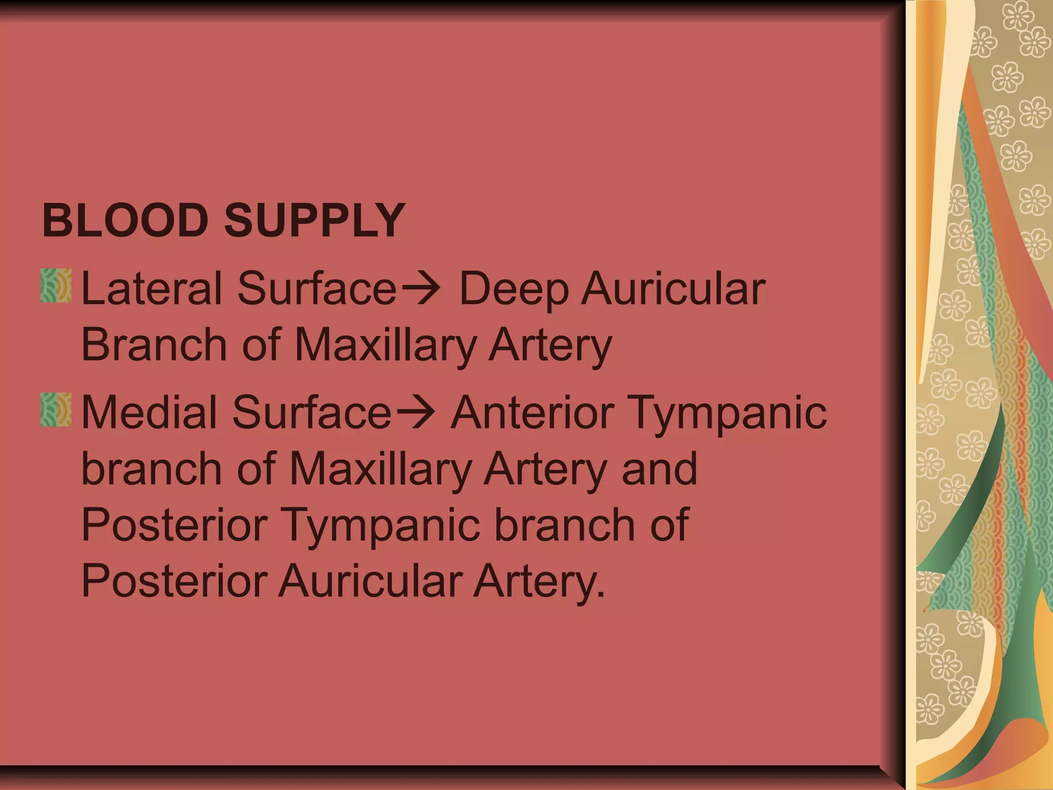 Anatomy of external ear | PPT