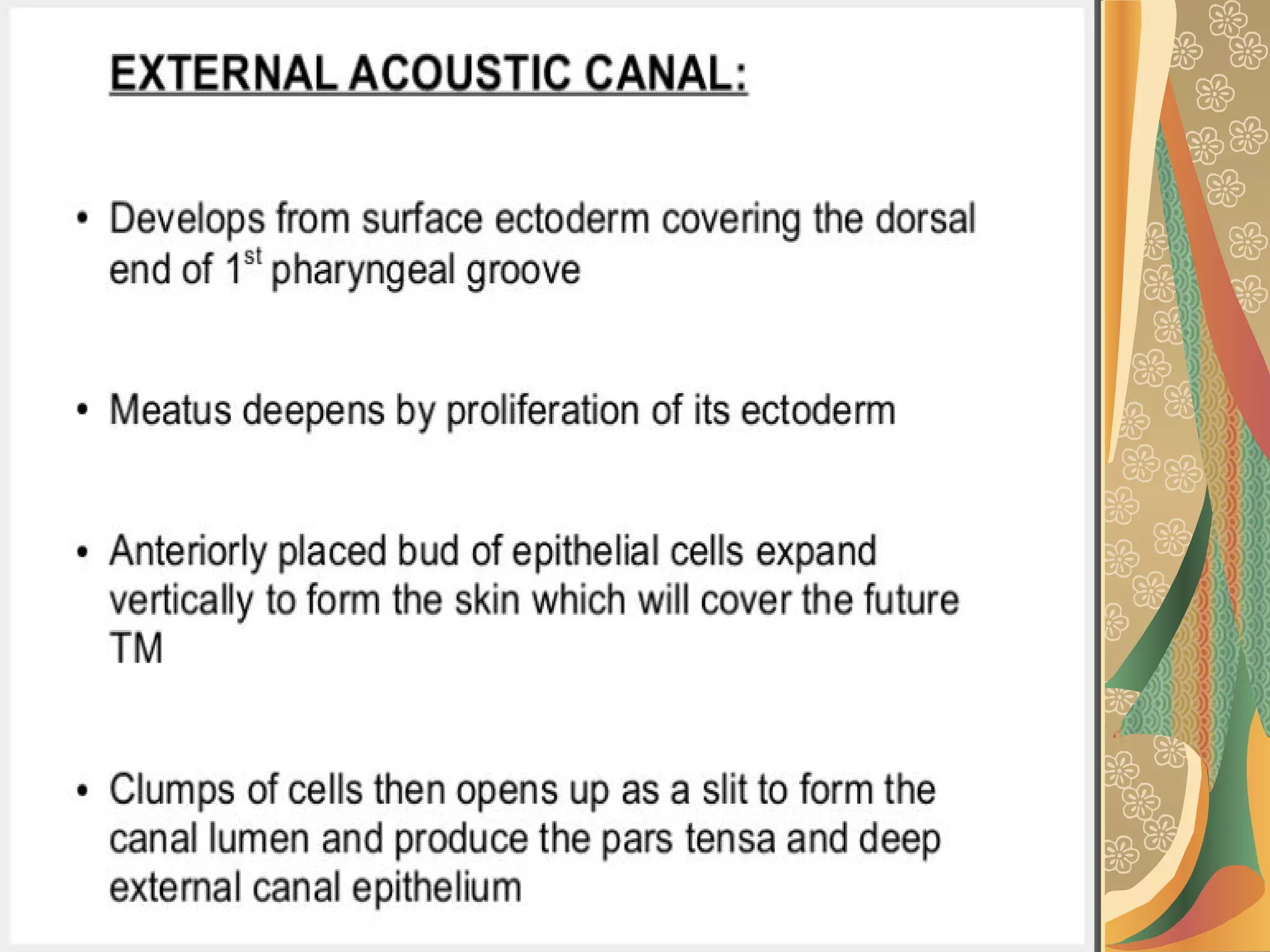 Anatomy of external ear | PPT