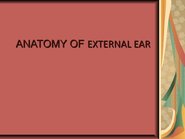 Anatomy of external ear | PPT | Ear, Nose and Throat Conditions ...