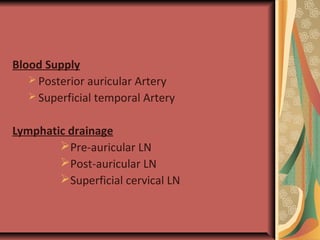 Anatomy of external ear | PPT