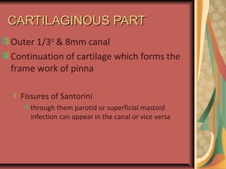 Anatomy of external ear | PPT