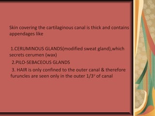 Anatomy of external ear | PPT