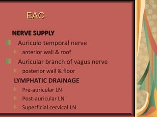Anatomy of external ear | PPT