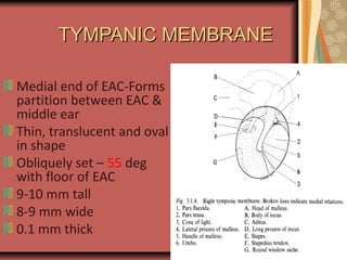 Anatomy of external ear | PPT