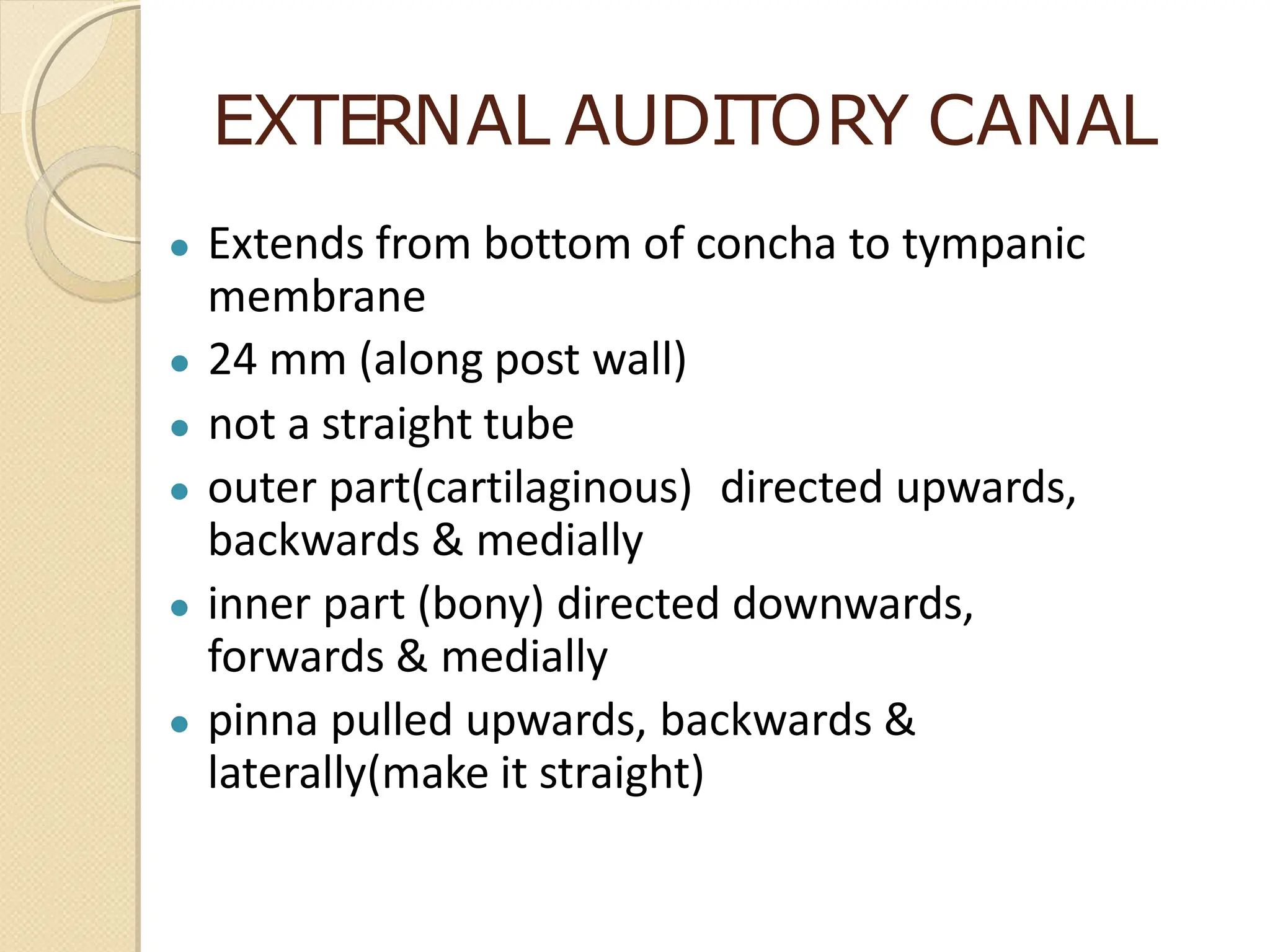 ANATOMY OF EXT EAR AND RELATED STRUCTURES | PPTX