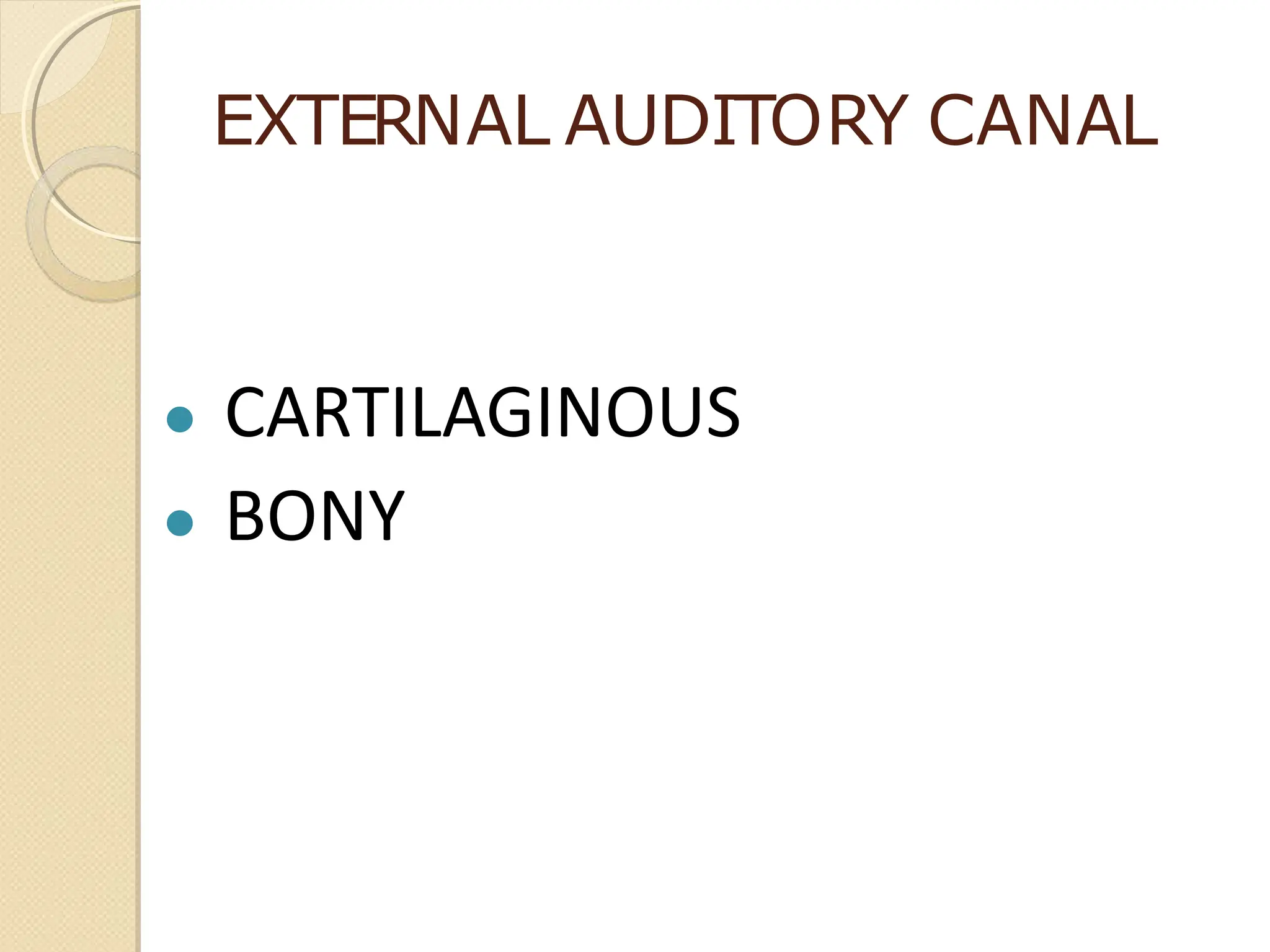 ANATOMY OF EXT EAR AND RELATED STRUCTURES | PPTX