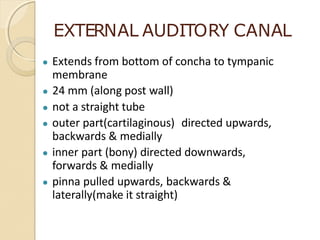 ANATOMY OF EXT EAR AND RELATED STRUCTURES | PPTX