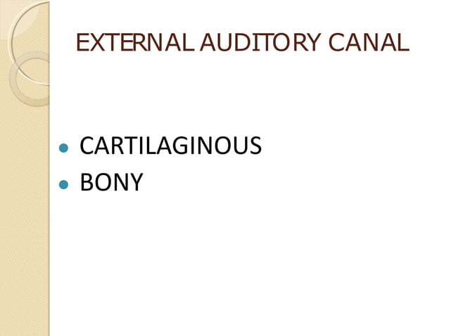 ANATOMY OF EXT EAR AND RELATED STRUCTURES | PPTX