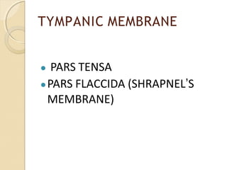 ANATOMY OF EXT EAR AND RELATED STRUCTURES | PPTX