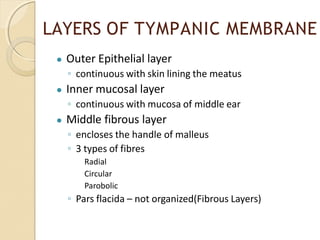 ANATOMY OF EXT EAR AND RELATED STRUCTURES | PPTX