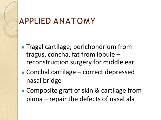 ANATOMY OF EXT EAR AND RELATED STRUCTURES | PPTX