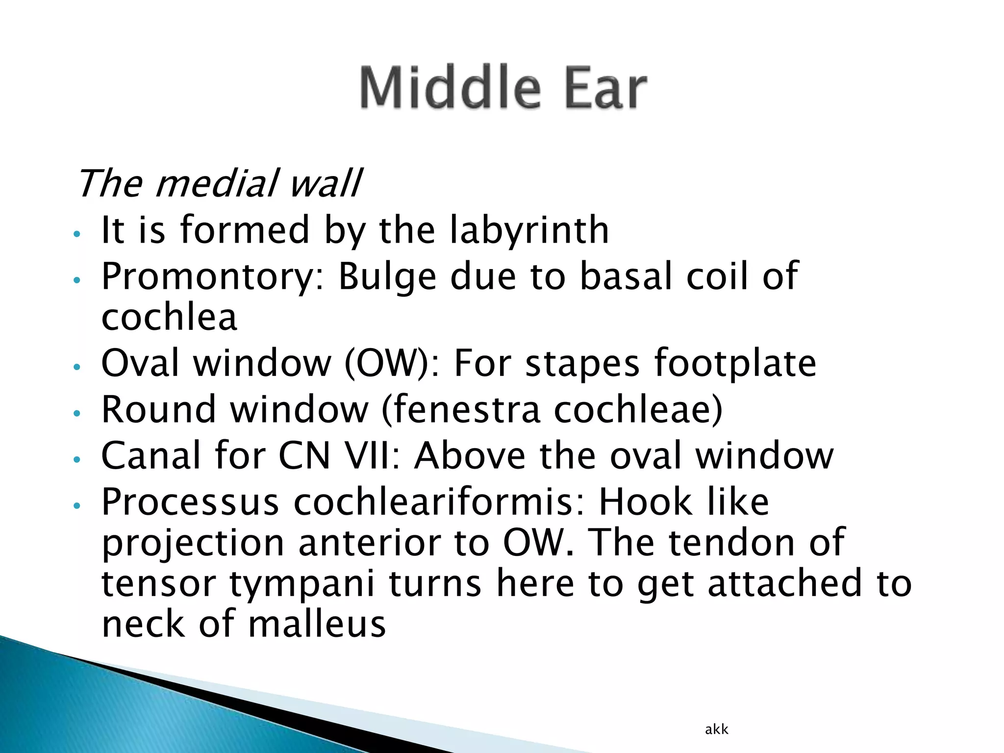 Anatomy of External and Middle Ear | PPTX