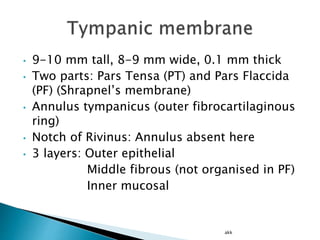Anatomy of External and Middle Ear | PPT