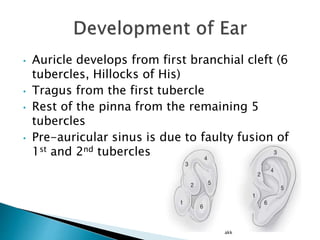Anatomy of External and Middle Ear | PPT
