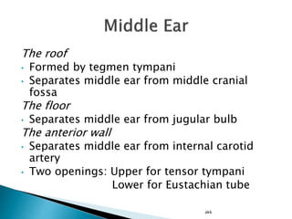 Anatomy of External and Middle Ear | PPT