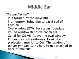 Anatomy of External and Middle Ear | PPT
