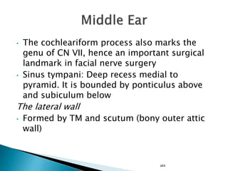 Anatomy of External and Middle Ear | PPT
