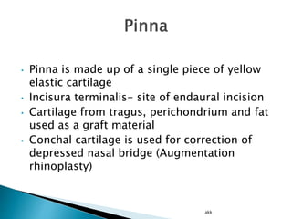 Anatomy of External and Middle Ear | PPT