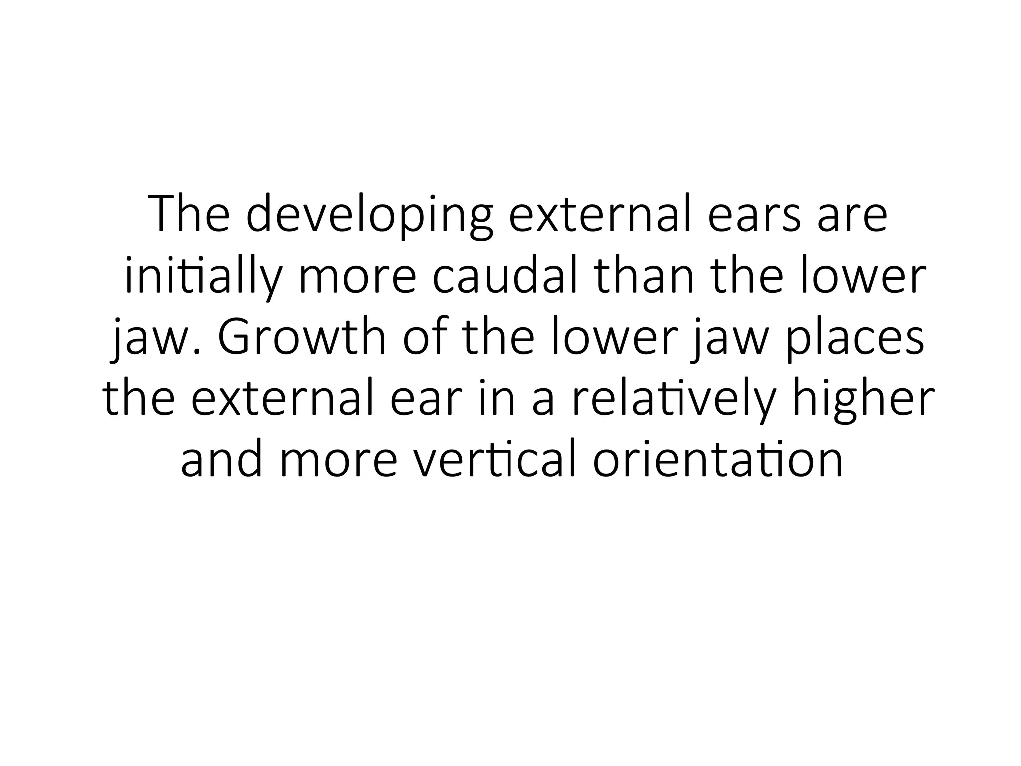 Anatomy Of External And Middle Ear .ppt