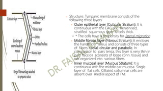 Anatomy of external and middle ear by dr. faisal rahman | PPTX