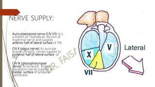 Anatomy of external and middle ear by dr. faisal rahman | PPTX