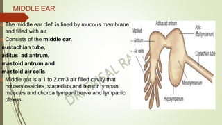 Anatomy of external and middle ear by dr. faisal rahman | PPTX