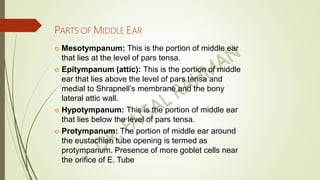 Anatomy of external and middle ear by dr. faisal rahman | PPTX