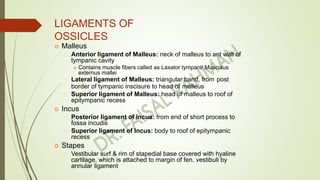 Anatomy of external and middle ear by dr. faisal rahman | PPTX