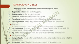 Anatomy of external and middle ear by dr. faisal rahman | PPTX