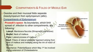 Anatomy of external and middle ear by dr. faisal rahman | PPTX