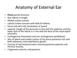 Anatomy of external ear, embryology and clinical significance | PPTX