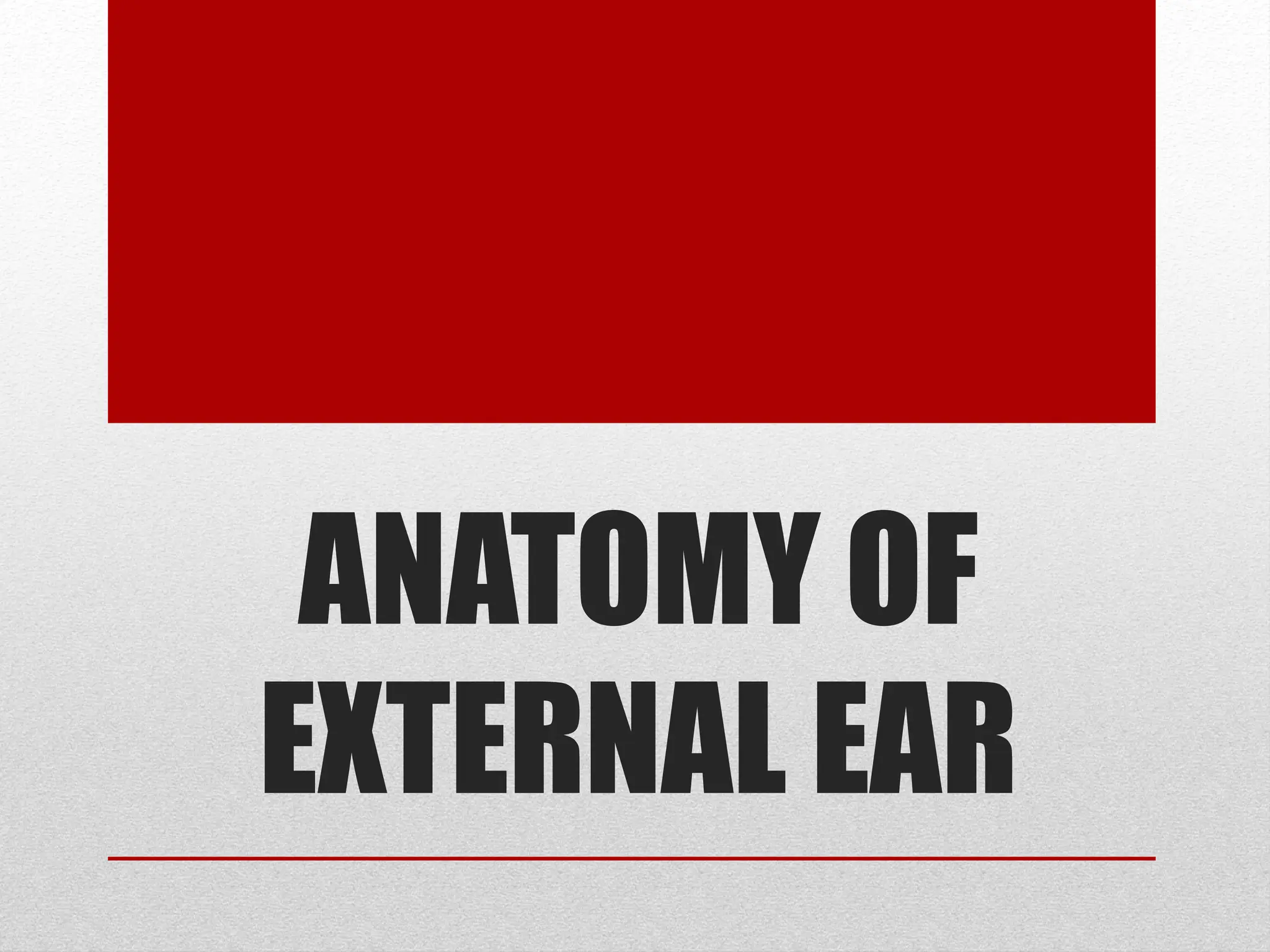 ANATOMY OF EXTERNAL EAR anatomy and ENT.pptx