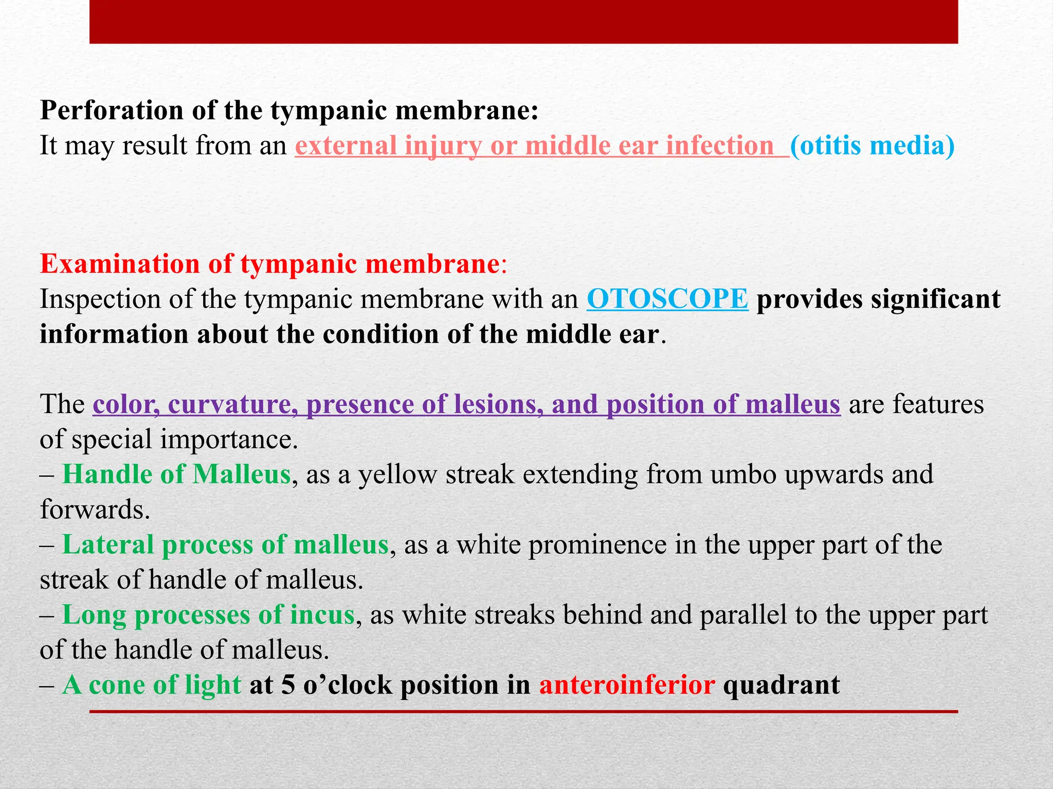 ANATOMY OF EXTERNAL EAR anatomy and ENT.pptx