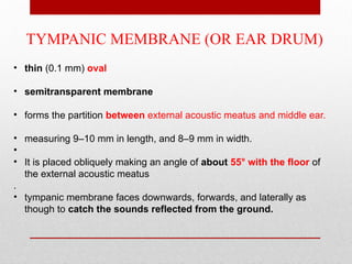 ANATOMY OF EXTERNAL EAR anatomy and ENT.pptx
